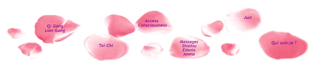 Doeki Santé : Taï Chi, Qi Gong à Hennebont, Pont Scorff, Lorient et Guidel